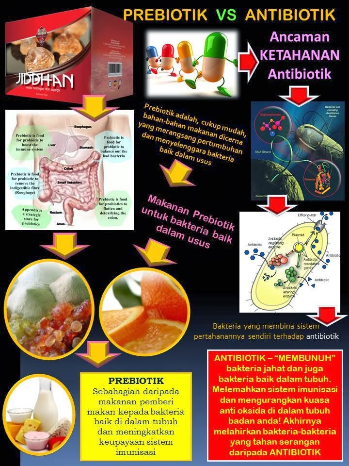 Prebiotik vs Antibiotik