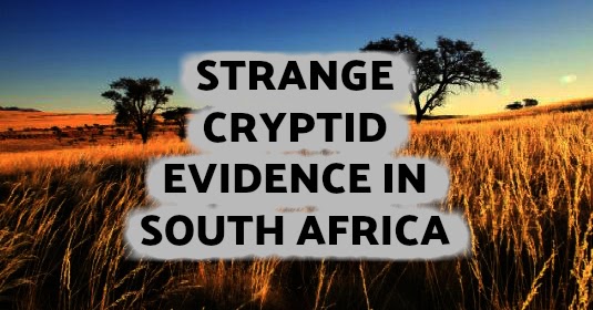 Terra Forming Terra: Strange Cryptid Evidence in South Africa