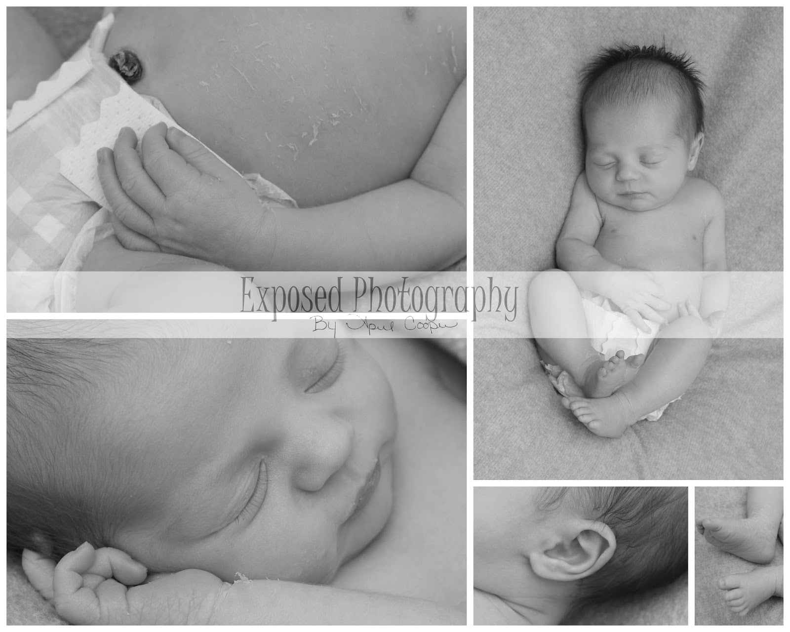 Exposed Photography By April Cooper