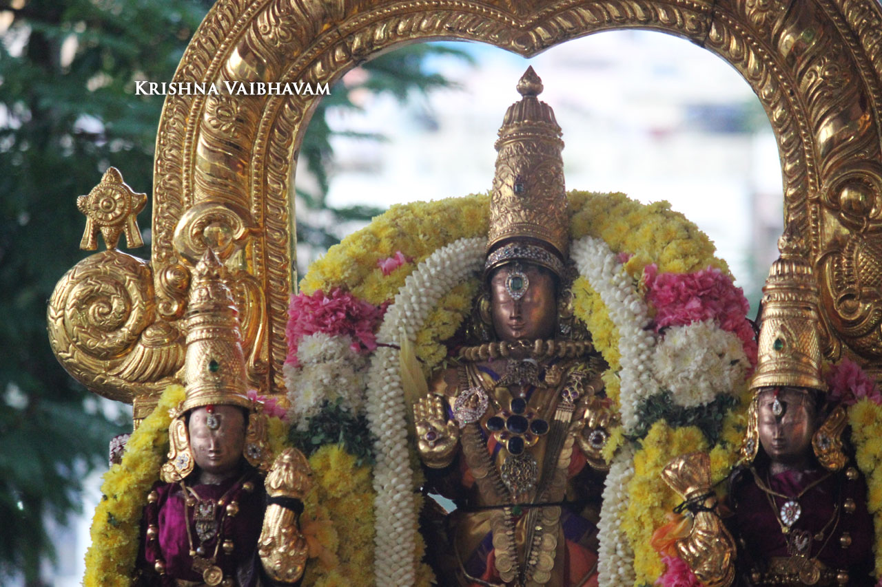 Krishna Vaibhavam: Sri Narasimha Swamy Purattasi Sanivaram Purappadu ...