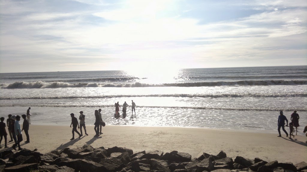 chellanam: Chellanam harbour