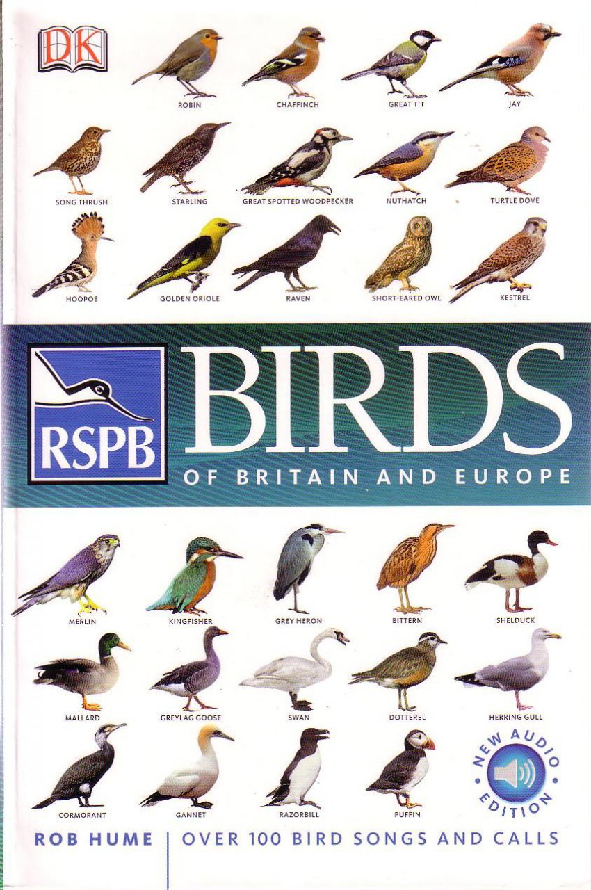 How to Start Bird Watching? |MyRokan