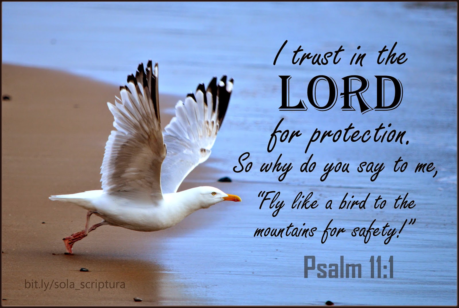 Sola Scriptura: August 2014