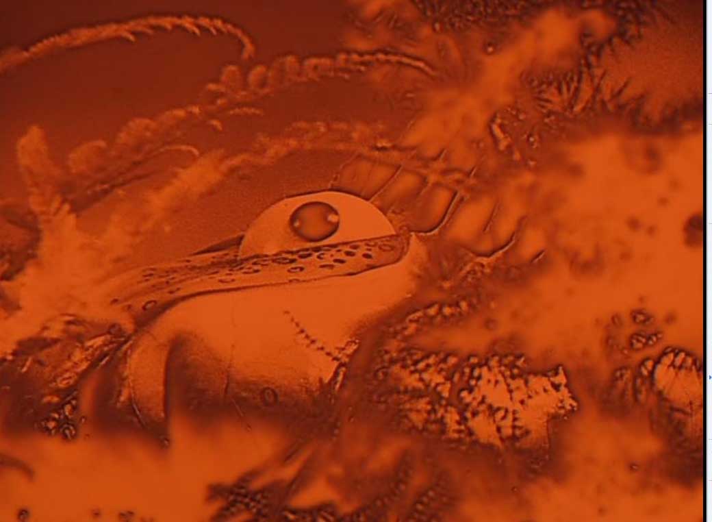 The Angry Red Planet [1959] new release movies - generationmanager