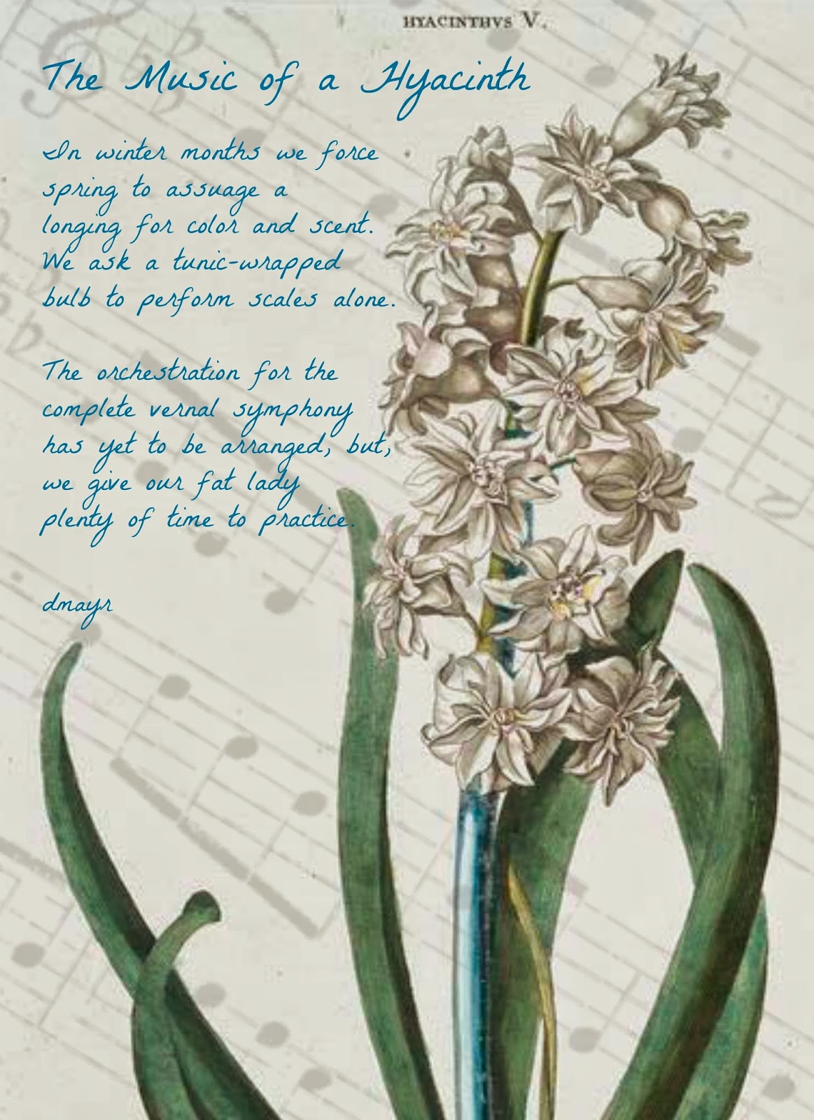 Random Noodling: Poetry Friday--"The Music of a Hyacinth"