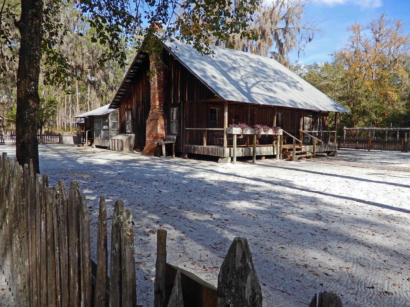 Cat Patches: Swamp Island Drive