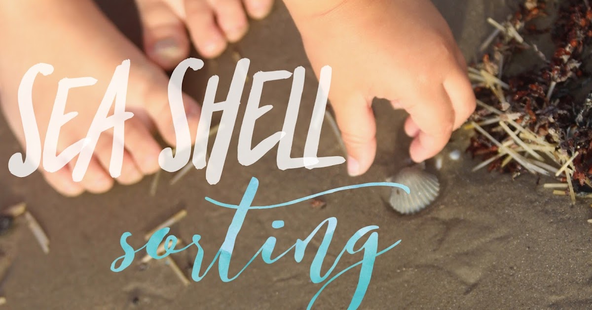 Childhood Uncontained: Sea Shell Sorting