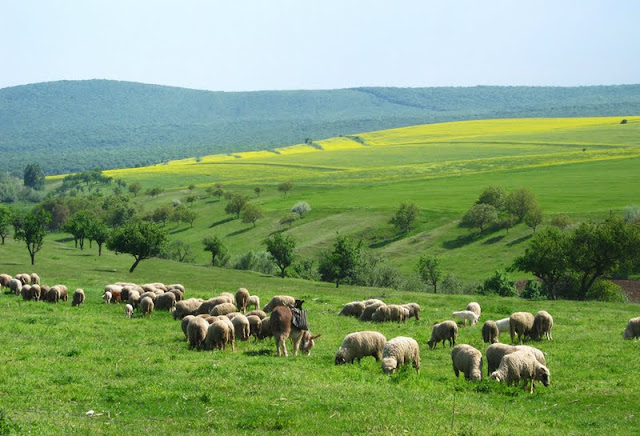 Country inside: Comorile ascunse ale Dobrogei ~ part.I ~ Bujorii din ... Country inside: Comorile ascunse ale Dobrogei ~ part.I ~ Bujorii din ...
