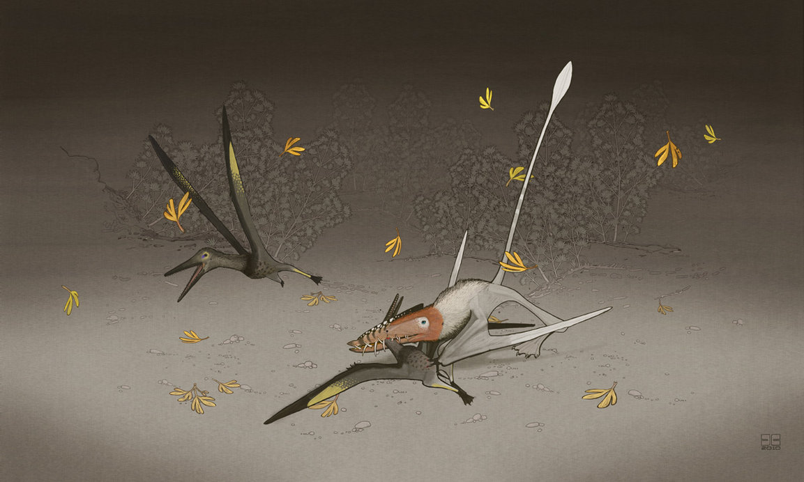 Species New to Science: [Paleontology • 2010] Sericipterus ...