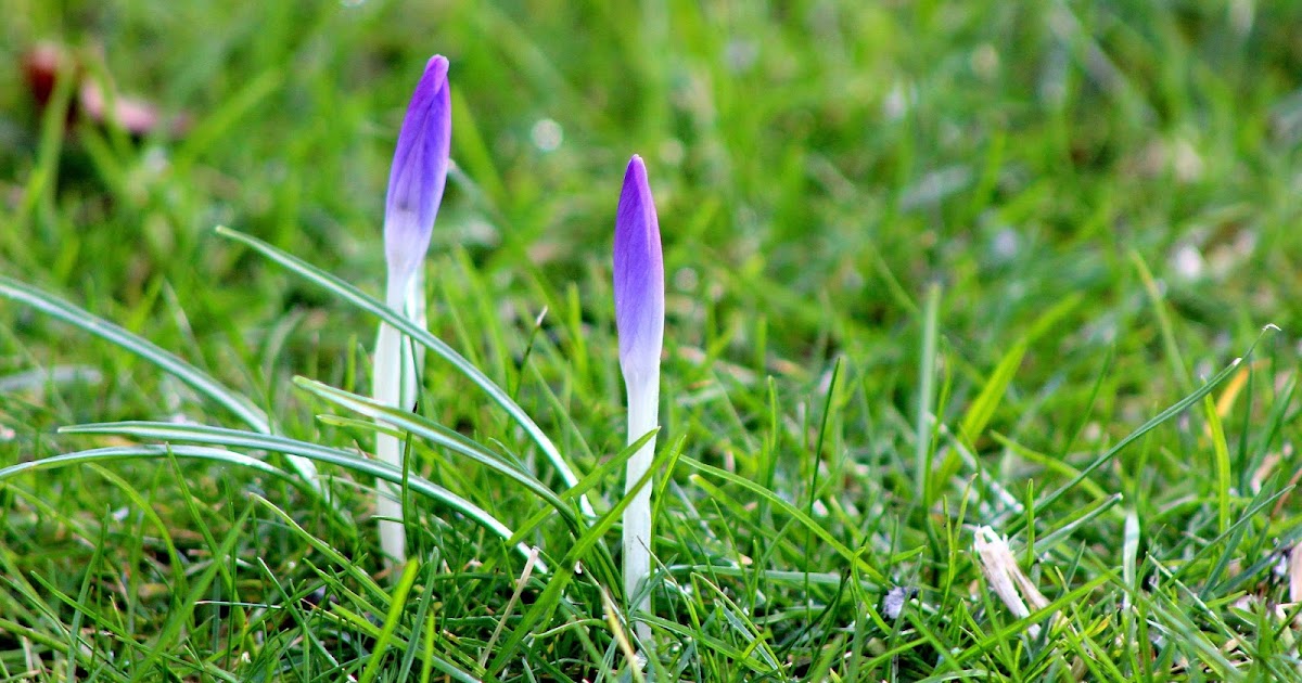 THE SMALL THINGS: A Manichean struggle.