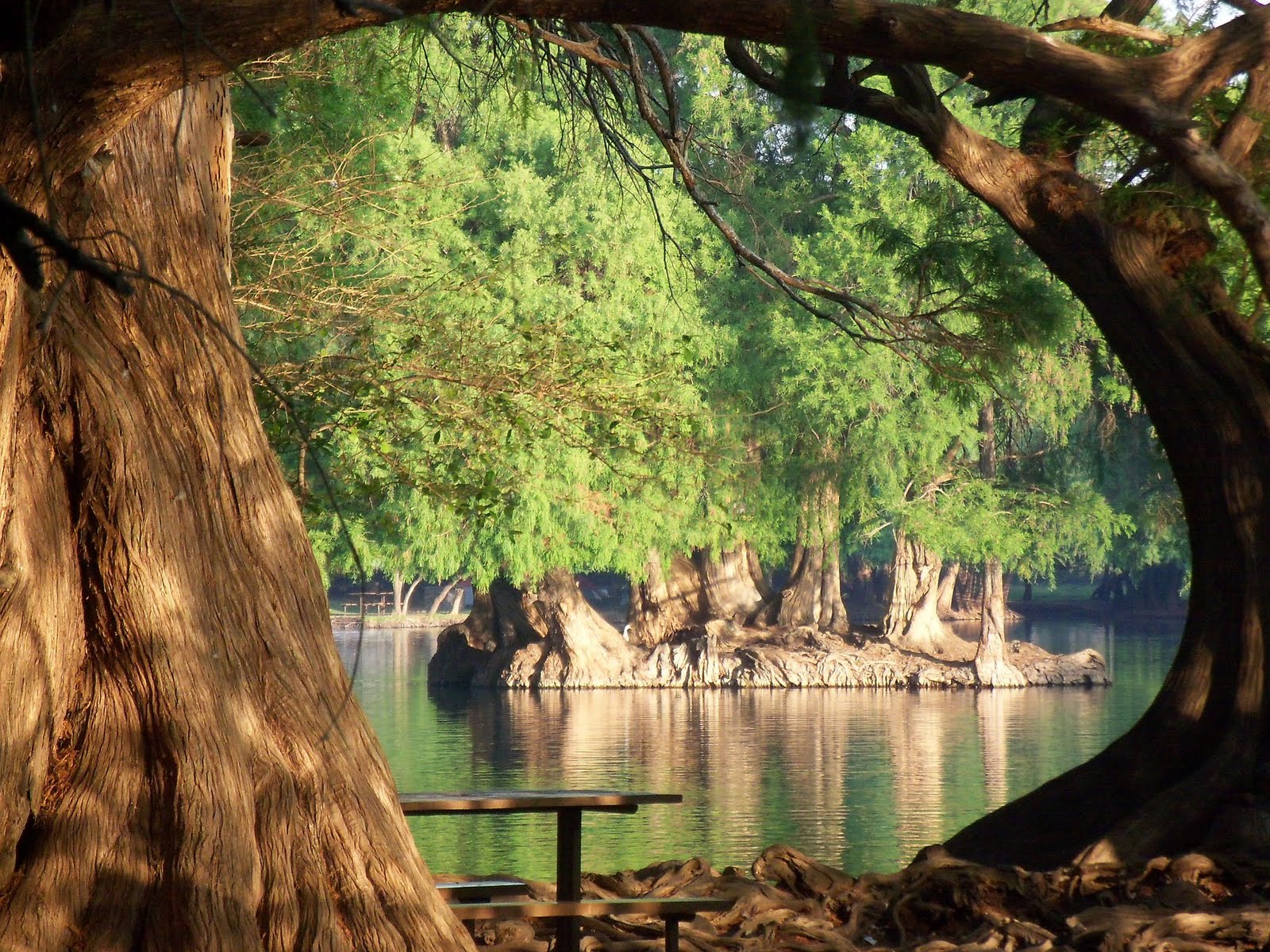 Jaime Ramos Méndez: Lago de Camécuaro en Tangancícuaro, Michoacán ...
