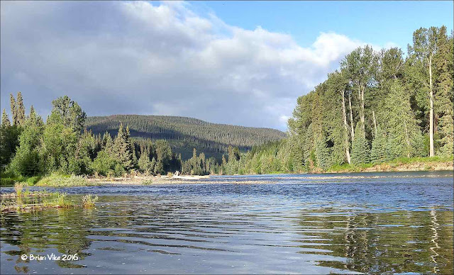 Northern Interior British Columbia: The Morice River And Lamprey Creek ...