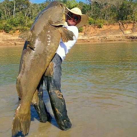 No Mar Profundo: Peixe