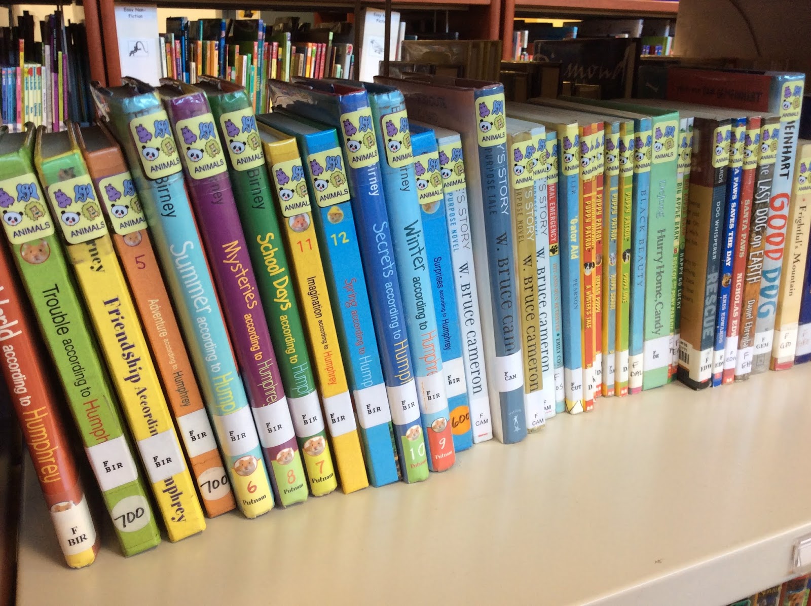 HSD36 Library Blog: Our New Genrefied Library!