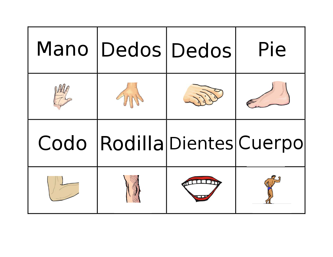 Español: Semana 2: Physical Description / Descripción Física