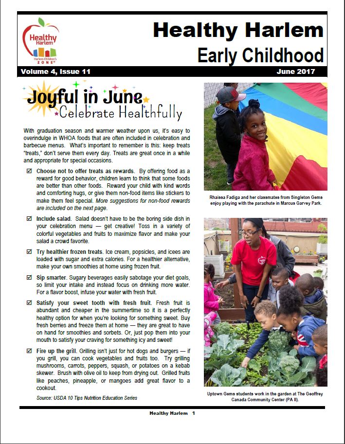 The HCZ Health and Wellness Connection: Healthy Harlem Early Childhood ...