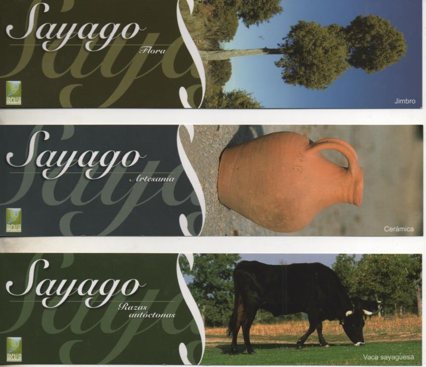 MONDOPUNTS: SAYAGO (Castilla y León)