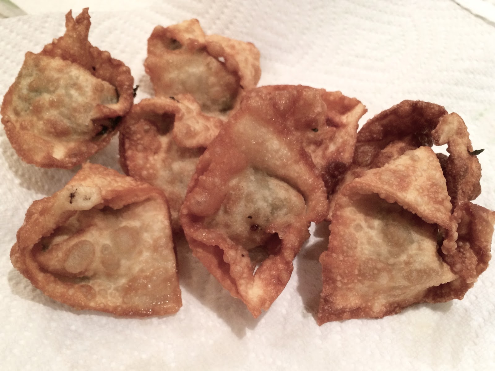 Fried Hun Tun (Won Tons)