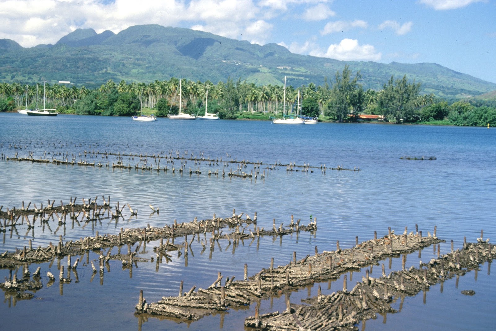 Voyages of the Saros: 2000