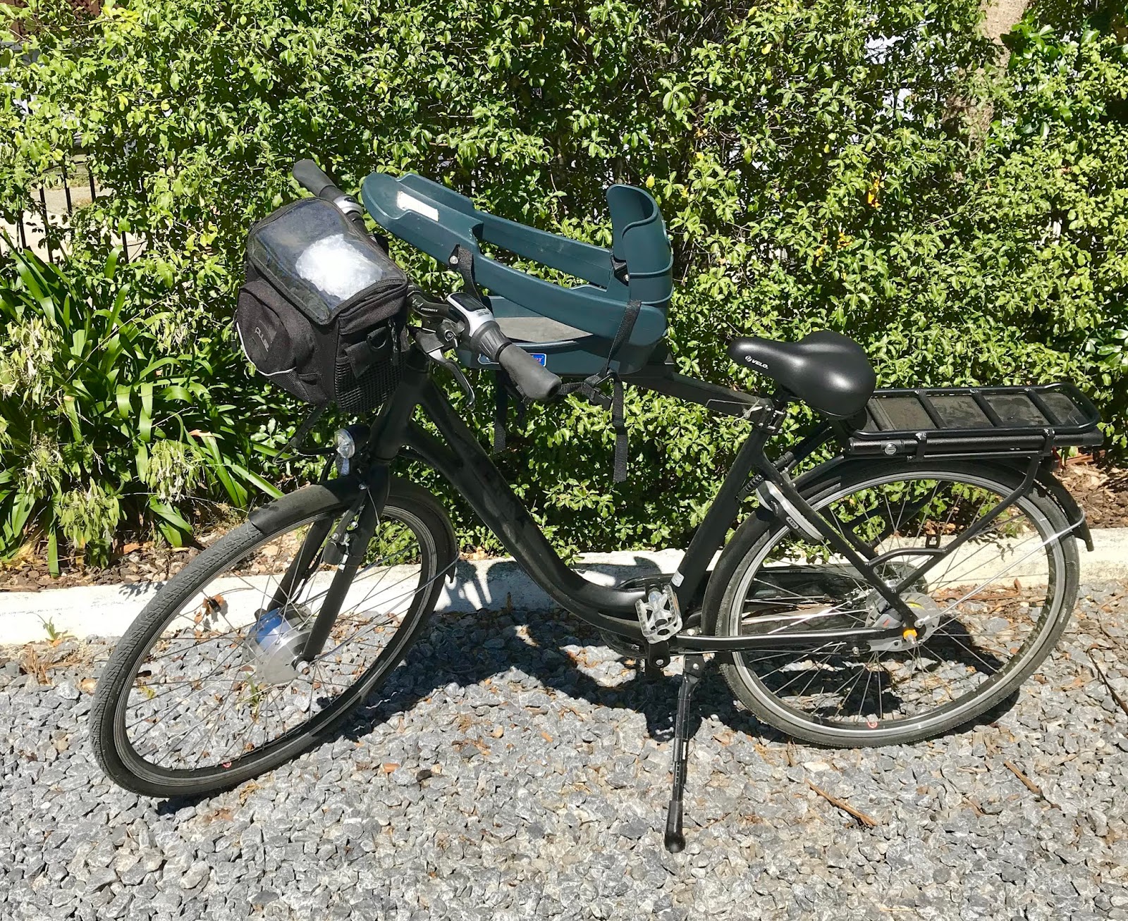 Paws Awhile: Buddy Rider