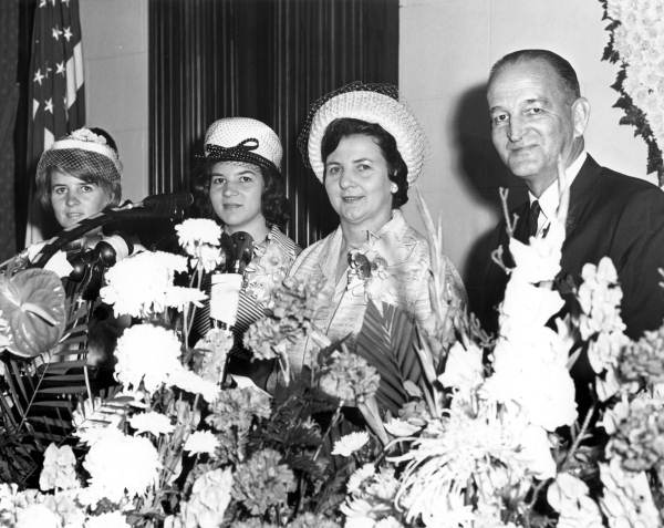 A Family Tapestry: Wildwood and the Family Tree