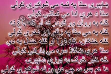 Pashto Poetry Shayari