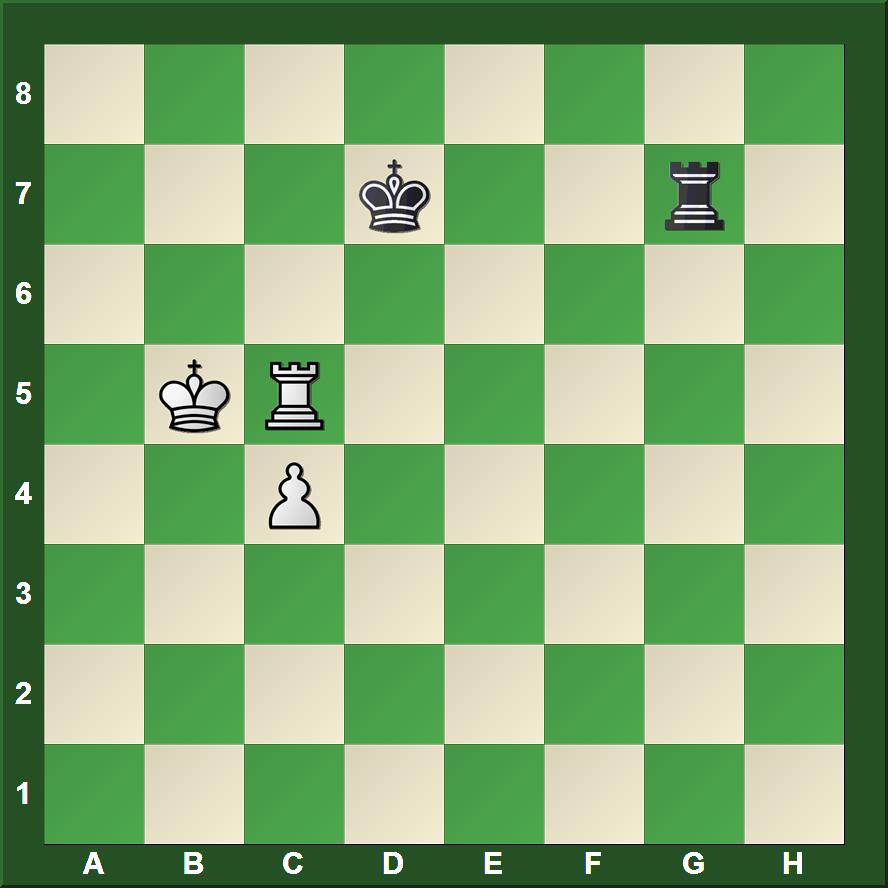 Chess Skills: Playing with Rooks