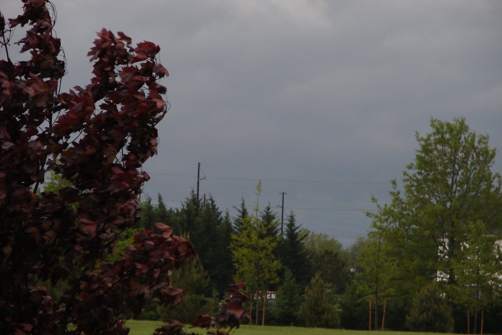 COSMOGIRL'S EMPORIUM: A DARK, DREARY RAINY MORNING