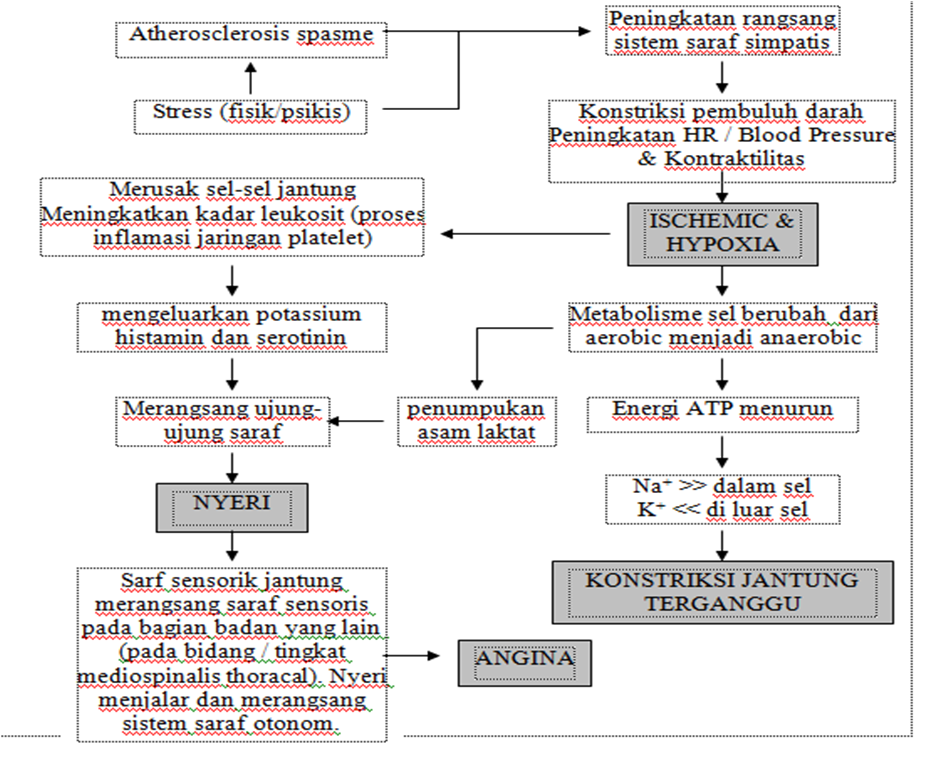 LP dan ASKEP Angina Pectoris | Leonarsis