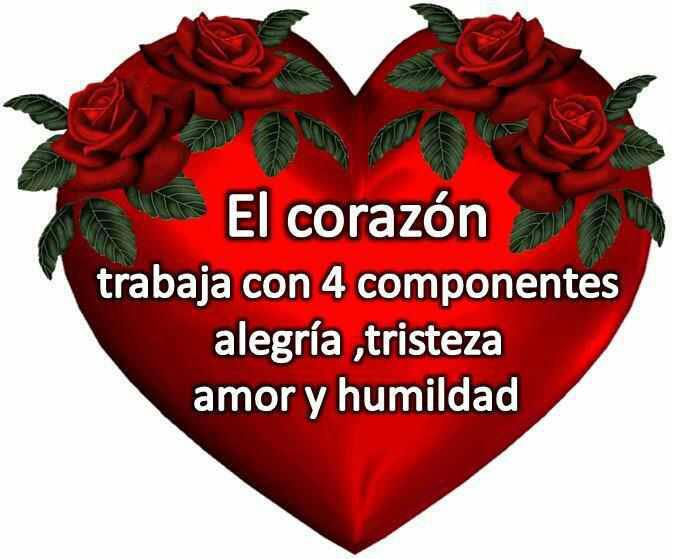 Tiernas imagenes de corazón con frases bonitas de amor - IMÁGENES ...