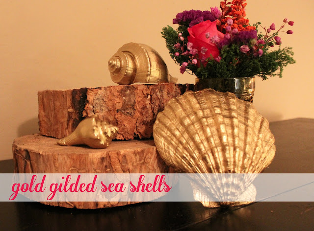DIY Gold Gilded Sea Shells - www.danettedillon.com