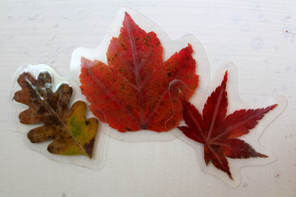 Filth Wizardry: Laminated Autumn leaf magnets