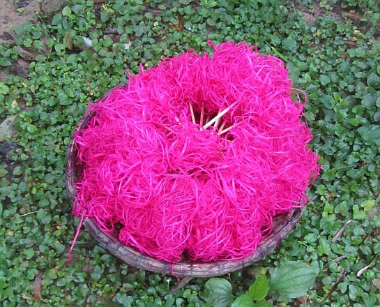 Hoa tre trong lễ cúng đầu năm ở Huế · DienDan.Edu.Vn | Chia sẻ kiến ...