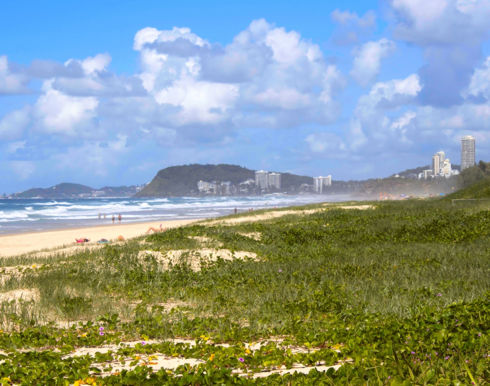Photographing at Nobby Beach