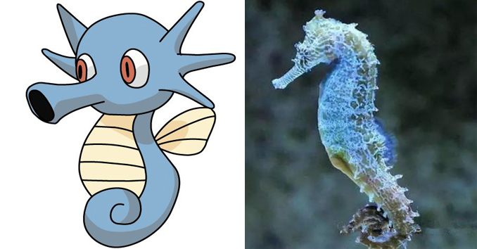 Horsea Monster Pokemon Go yang diadopsi dari Kuda Laut