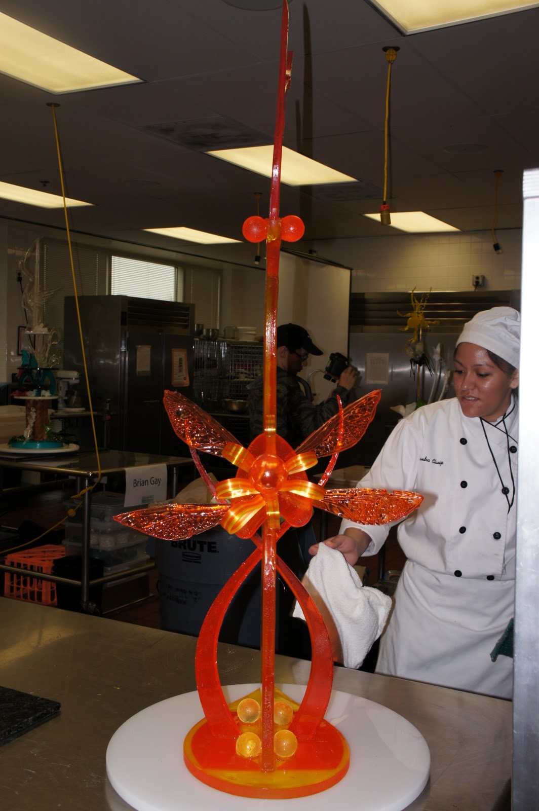 My Culinary Career...: Sugar Casting Competition: "Unknown Theme"