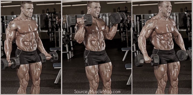 Blast your gunns with Zottman Curls. By Veeraj Goyaram ~ BODYBUILDING ...