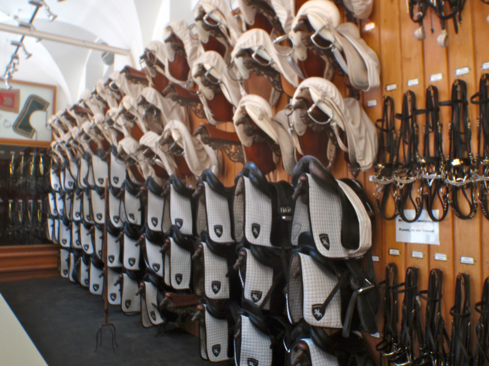 London, Paris, Berlin, Prague, and Vienna in 26 days: Vienna and the ...