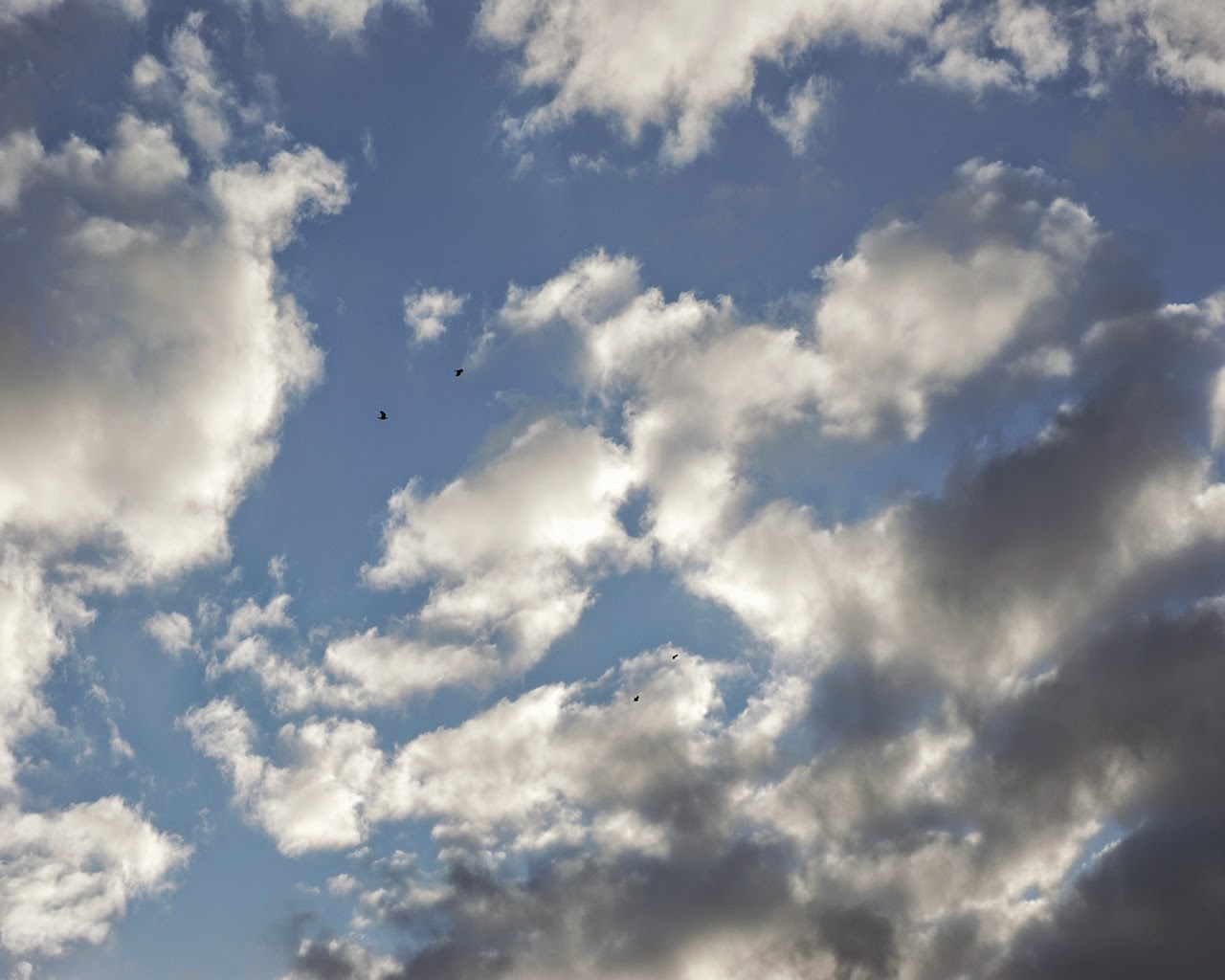 SUGI NUGROHO (Plant Doctor): AGROKLIMATOLOGI (KLASIFIKASI/BENTUK AWAN)
