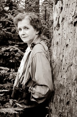 Footless Crow: October 2013