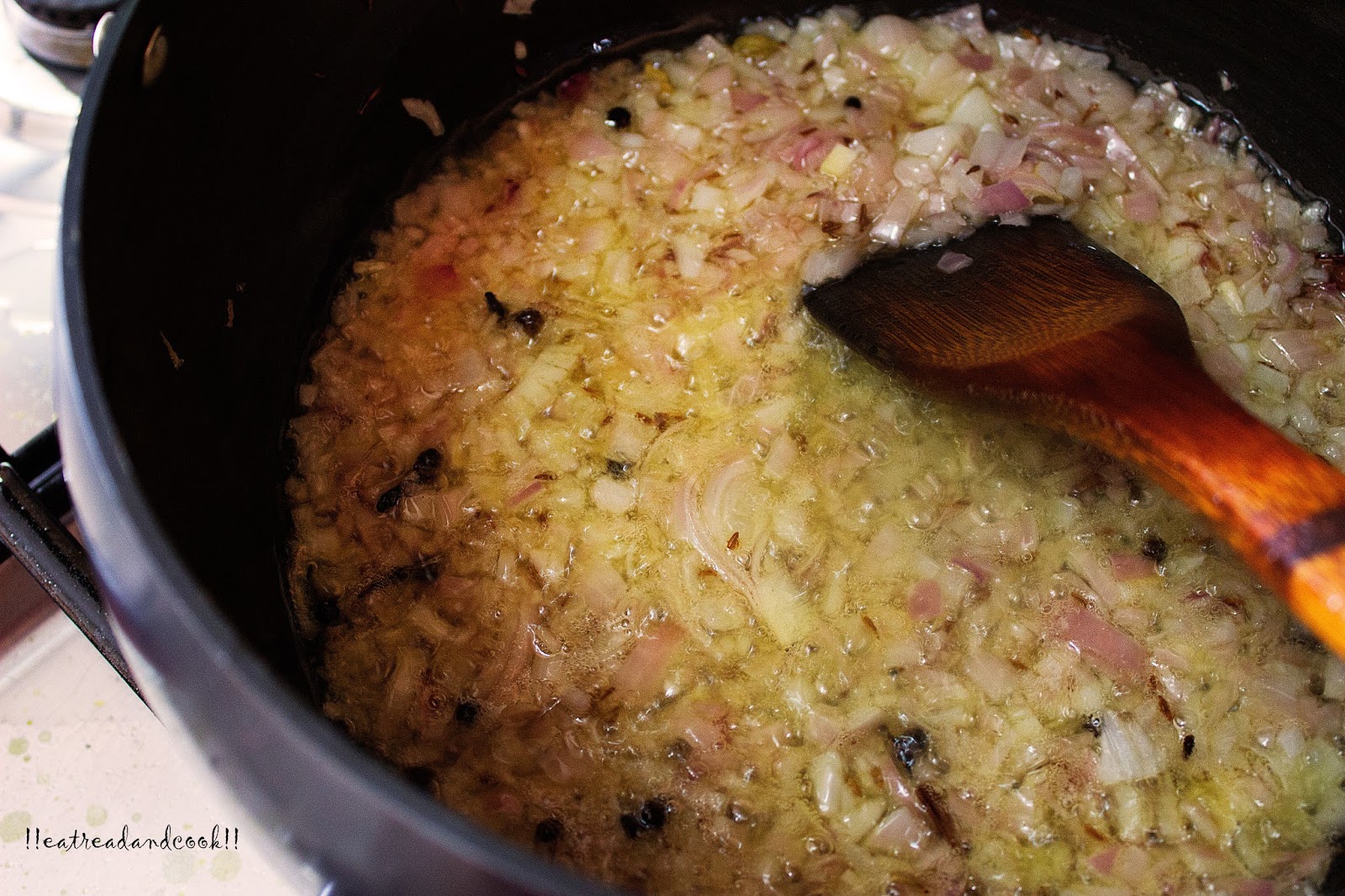 Ginger Chicken Curry / Murgh Adraki