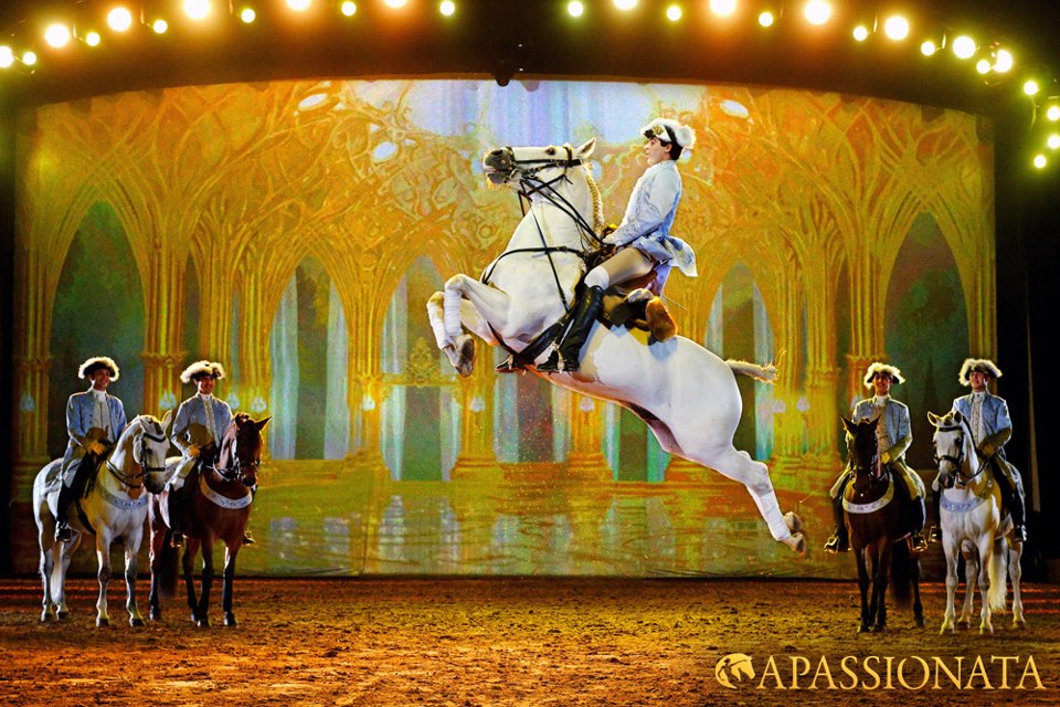 Mein Tagebuch: Apassionata