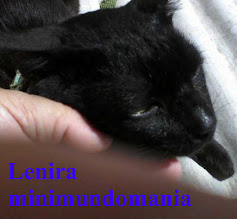 O MUNDO E AS COISAS DE LENIRA: PORTA FILTRO DE CAFÉ VIROU ENFEITE