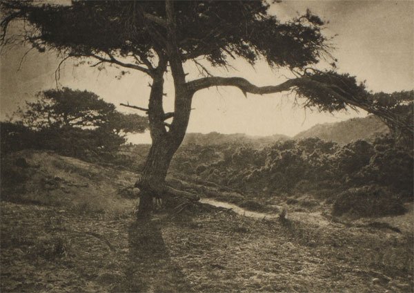 Los Grandes Fotografos: George Davison (1855-1930)