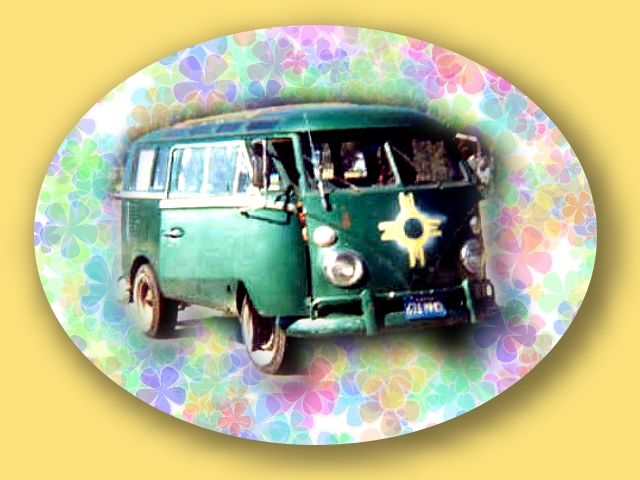 Our Old Car: 64 VW Bus, The Cosmic Toad