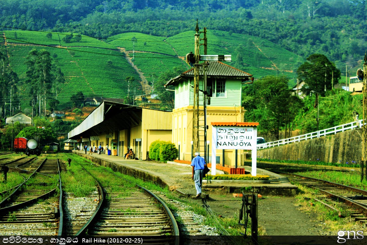 Ambewela - Sri Lanka - Land Of Ceylon