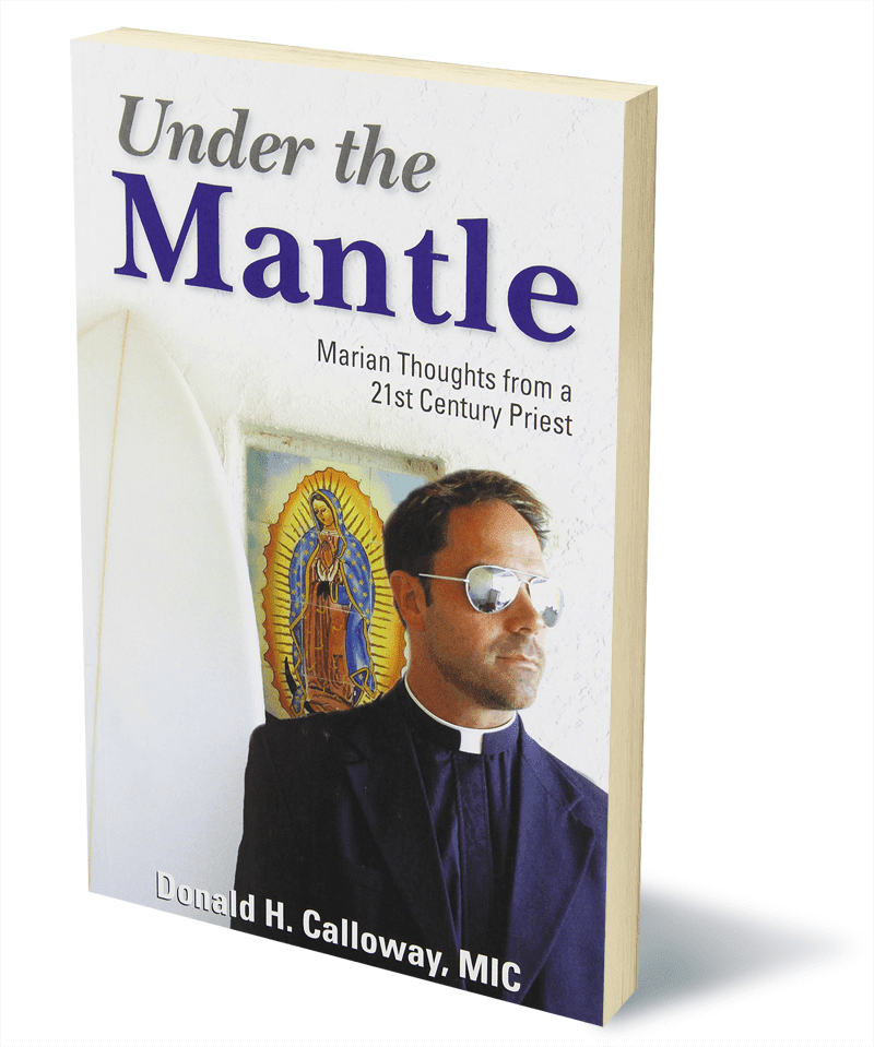 If You Were God - Fr. Donald Calloway Speaks on The Blessed Mother ...