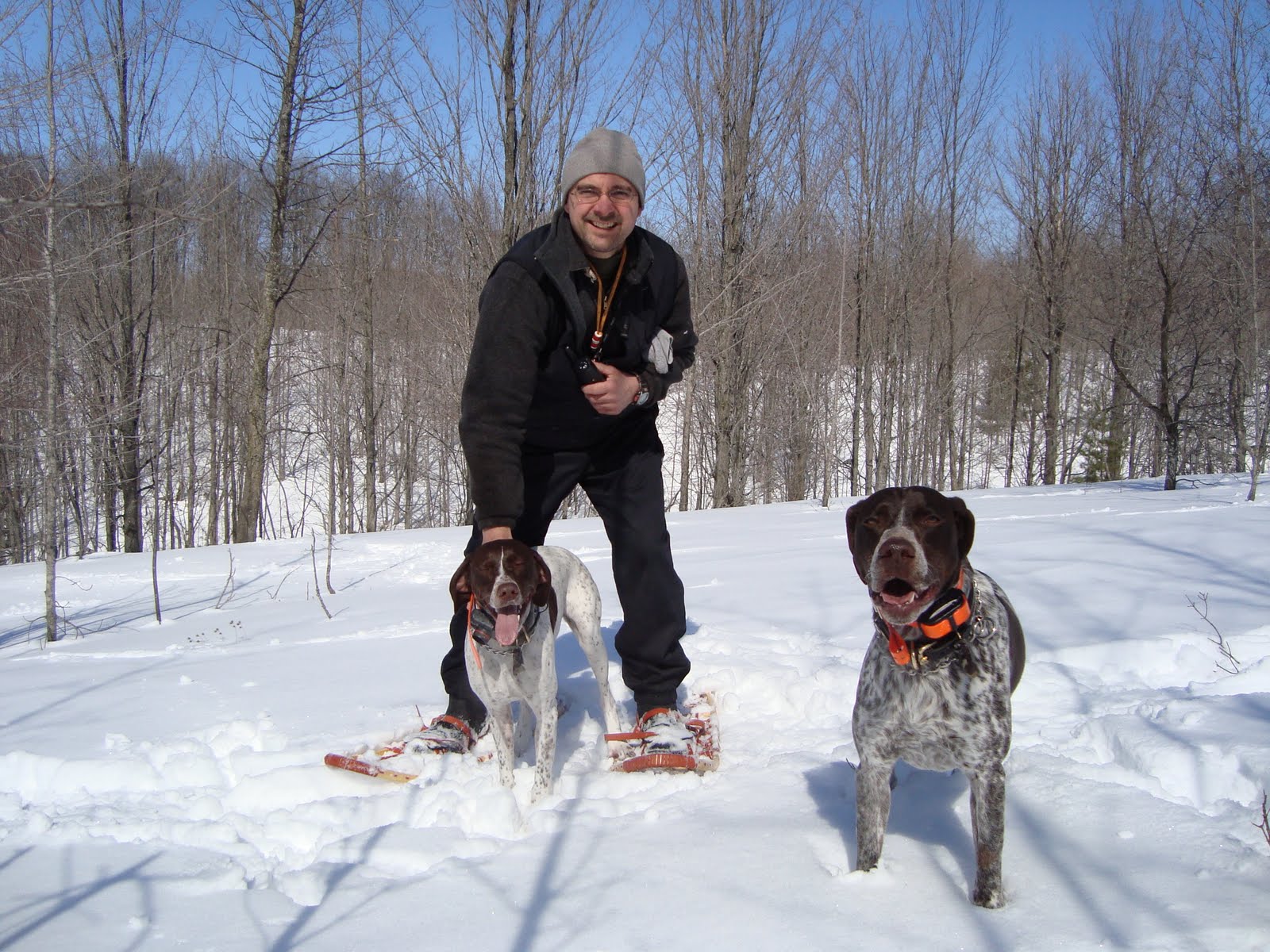 Bruno Boris Badenoff, GSP Extraordinaire: Snowshoeing with Bruno on Our ...