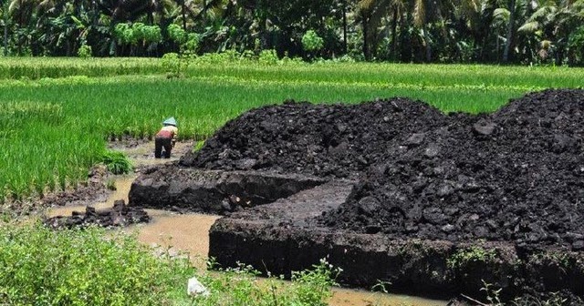 Pengertian Lahan Marginal - MILLENIUM