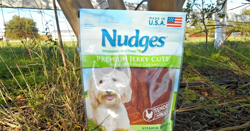 Are Nudges Safe Treat For Dogs